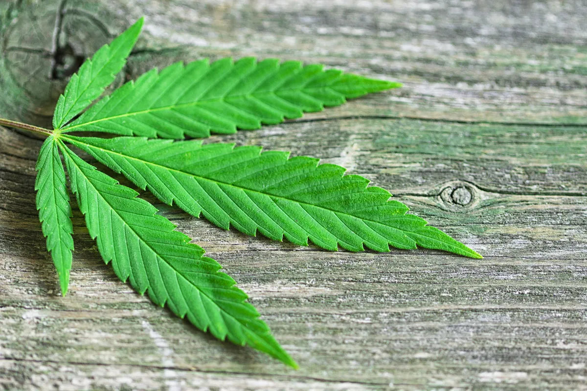 CBD, D8, Multi-Cannabinoids & More ~ HHI Local Health & Wellness ...